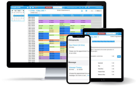 Best Acupuncture Practice Management Software - zHealth